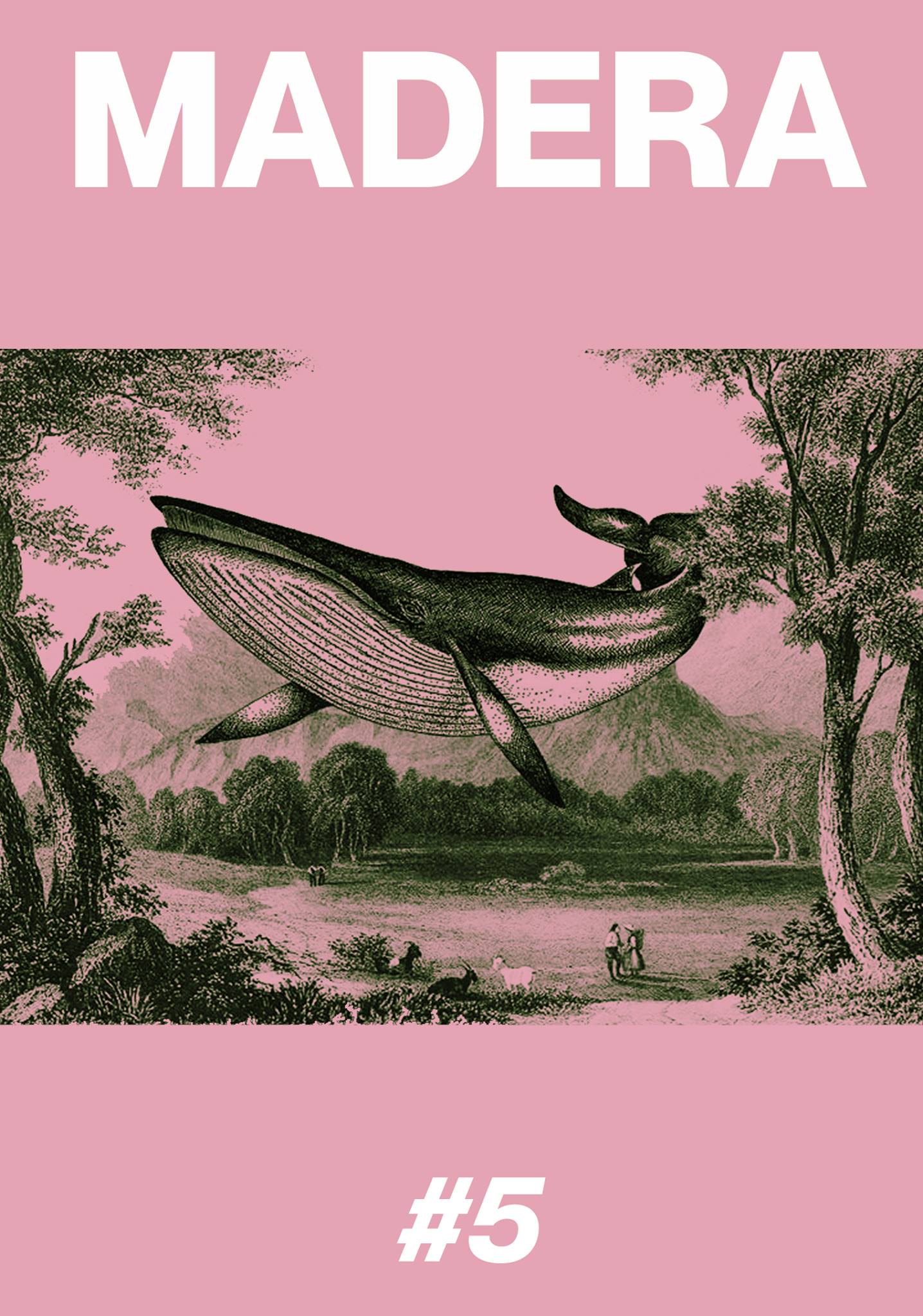 Presentación de Madera 5 - Bartleby & Co.