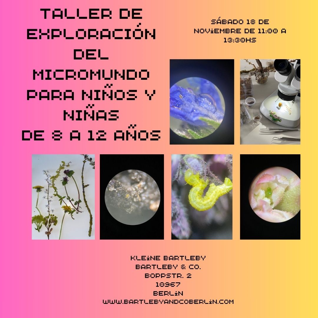 Taller de exploración del micromundo - Bartleby & Co.